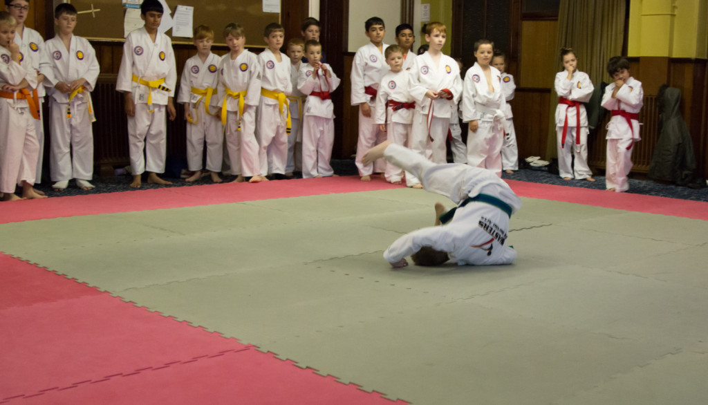 MMA Final Edit (172) - Masters Of Martial Arts