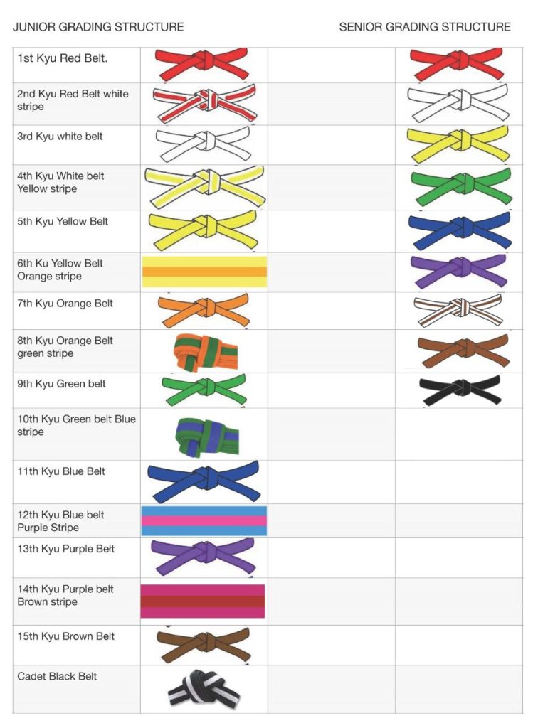 Belt System - Masters Of Martial Arts